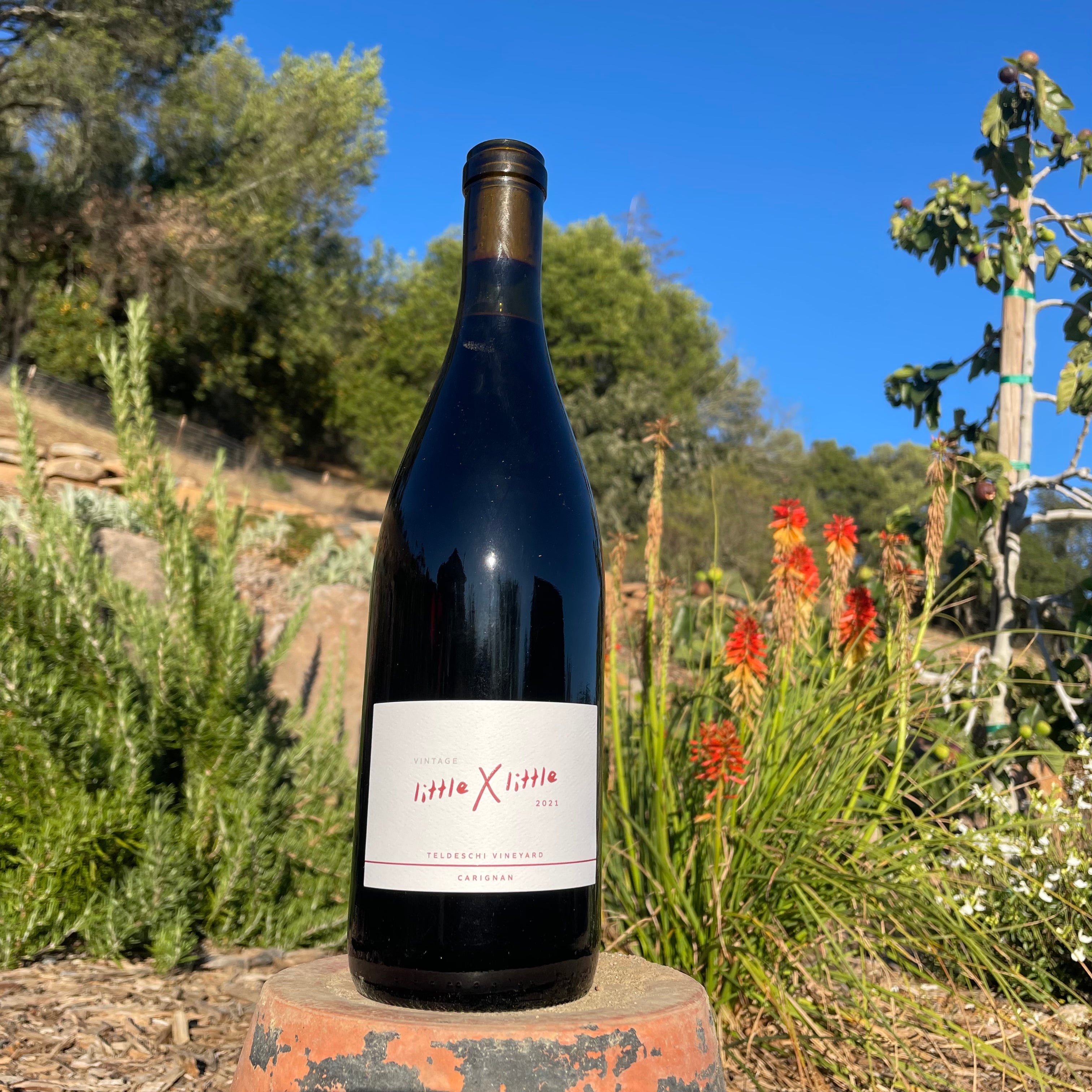 2022 Teldeschi Vineyard Carignan – little x little wines